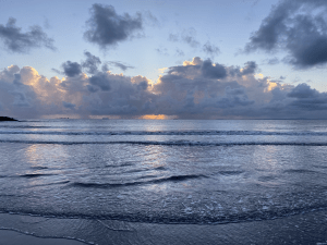 What is a Living Legacy and How Do I Prepare One – Yellow.